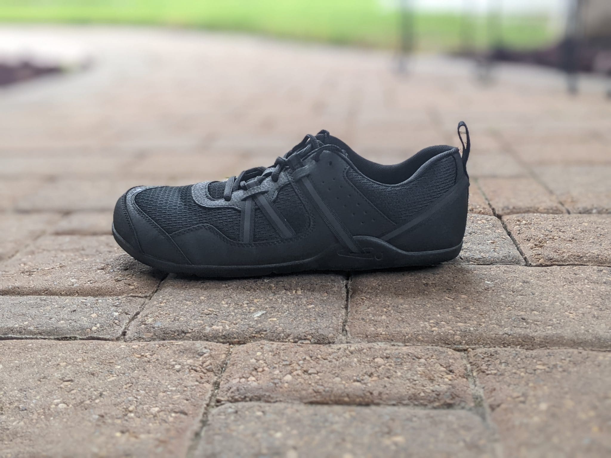 Best Zero Drop Walking Shoes 2025: The Complete Guide for All-Day ...