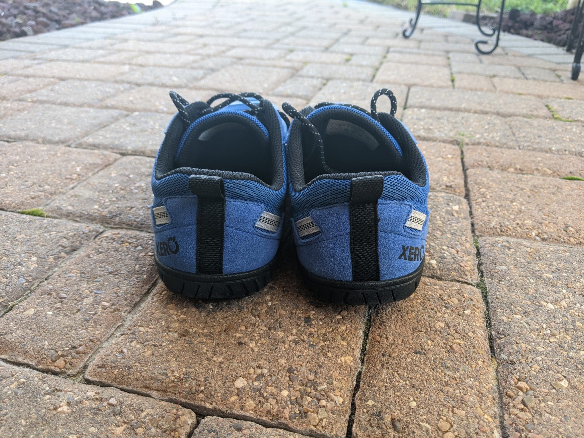 Xero Shoes 360 Review - A Court/Gym Shoe That's Barefoot! - Barefoot ...