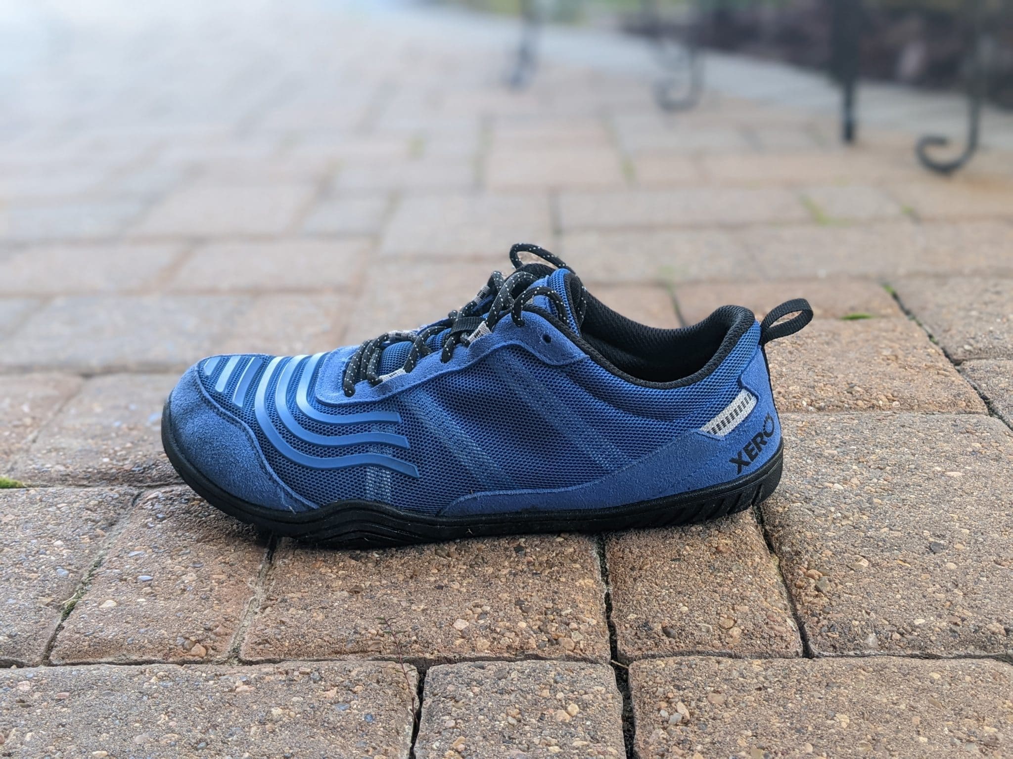 Xero Shoes 360 Review - A Court/Gym Shoe That's Barefoot! - Barefoot ...